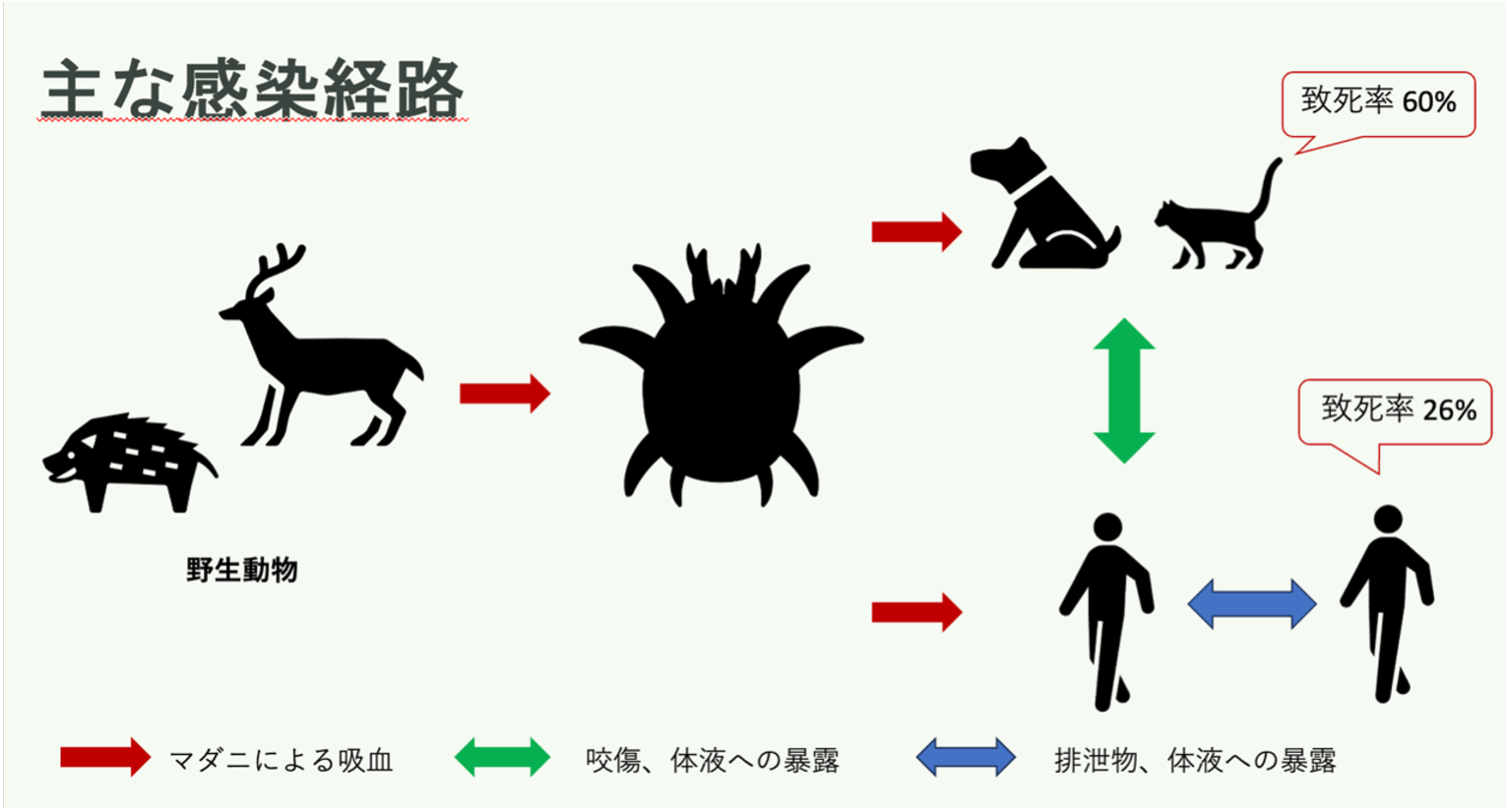 SFTS（重症熱性血小板減少症）に関する注意喚起 前田動物病院 │ 広島県・三次市・畠敷町 │ 年中無休
